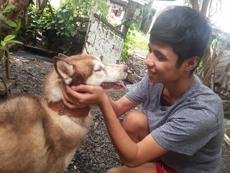 Asong gala at galisin noon, isang napakagandang aso na ngayon - The ...