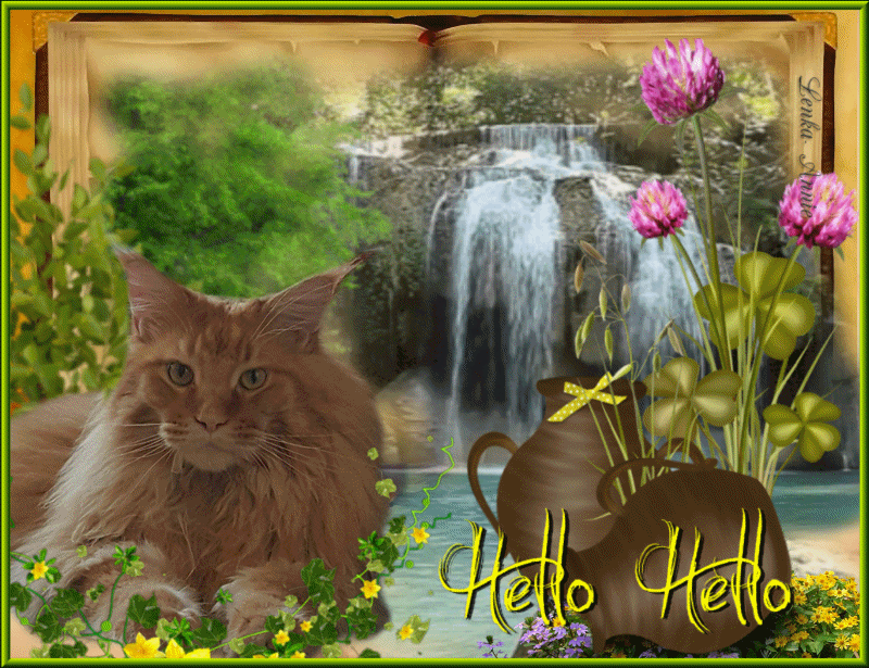 Vítejte u Lenky: Hello Leon