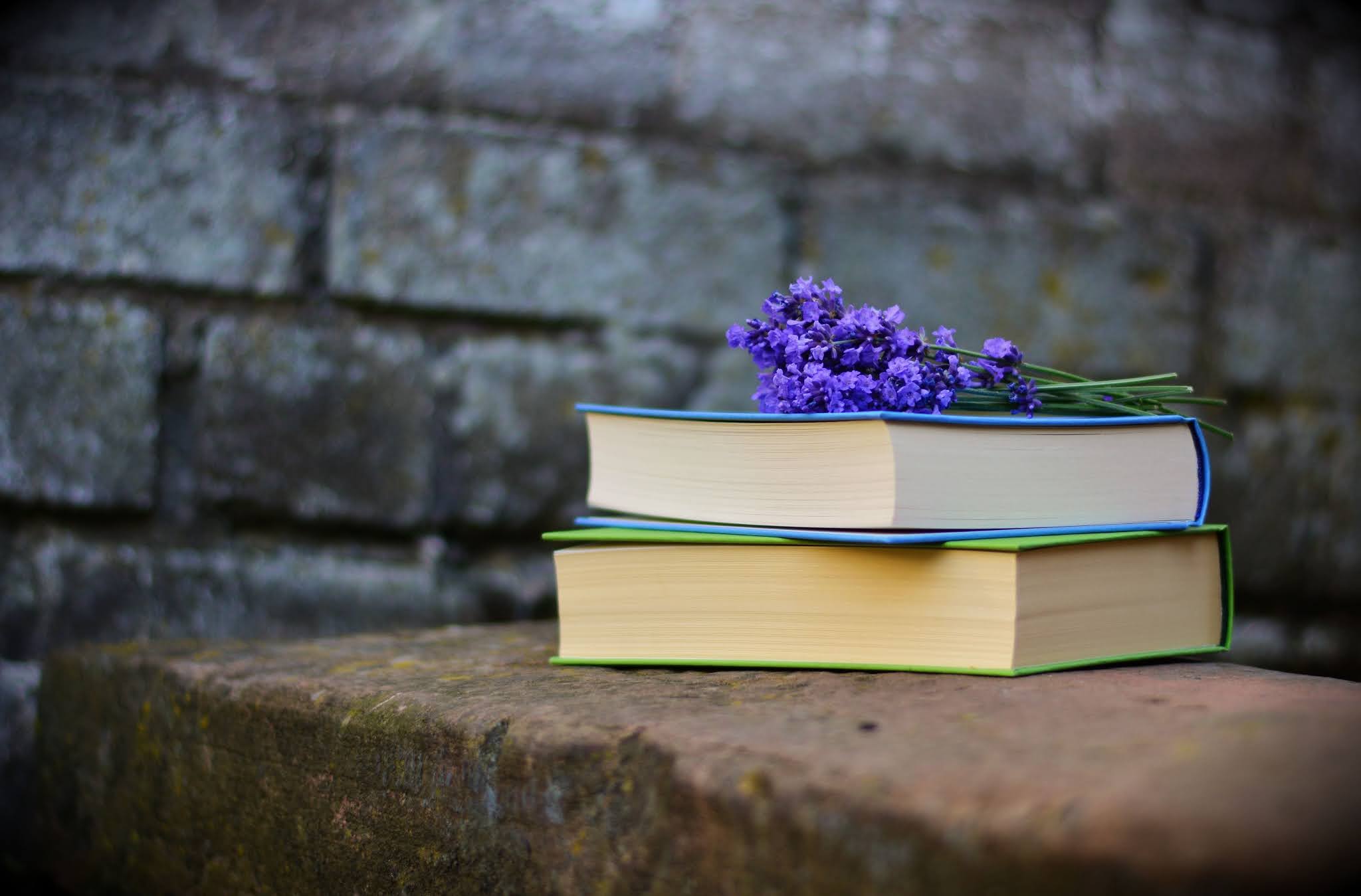 Readplot Powerful Closing Lines From Literature readplot-powerful-closing-lines-from-literature