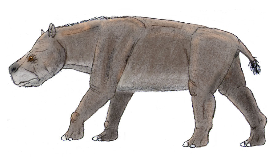 Los animales en la prehistoria: Animales prehistóricos con la letra H