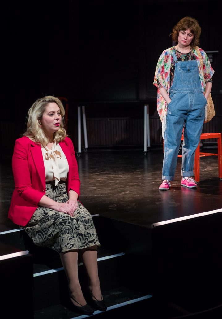 Cherry and Spoon: "Roe" at Mixed Blood Theatre