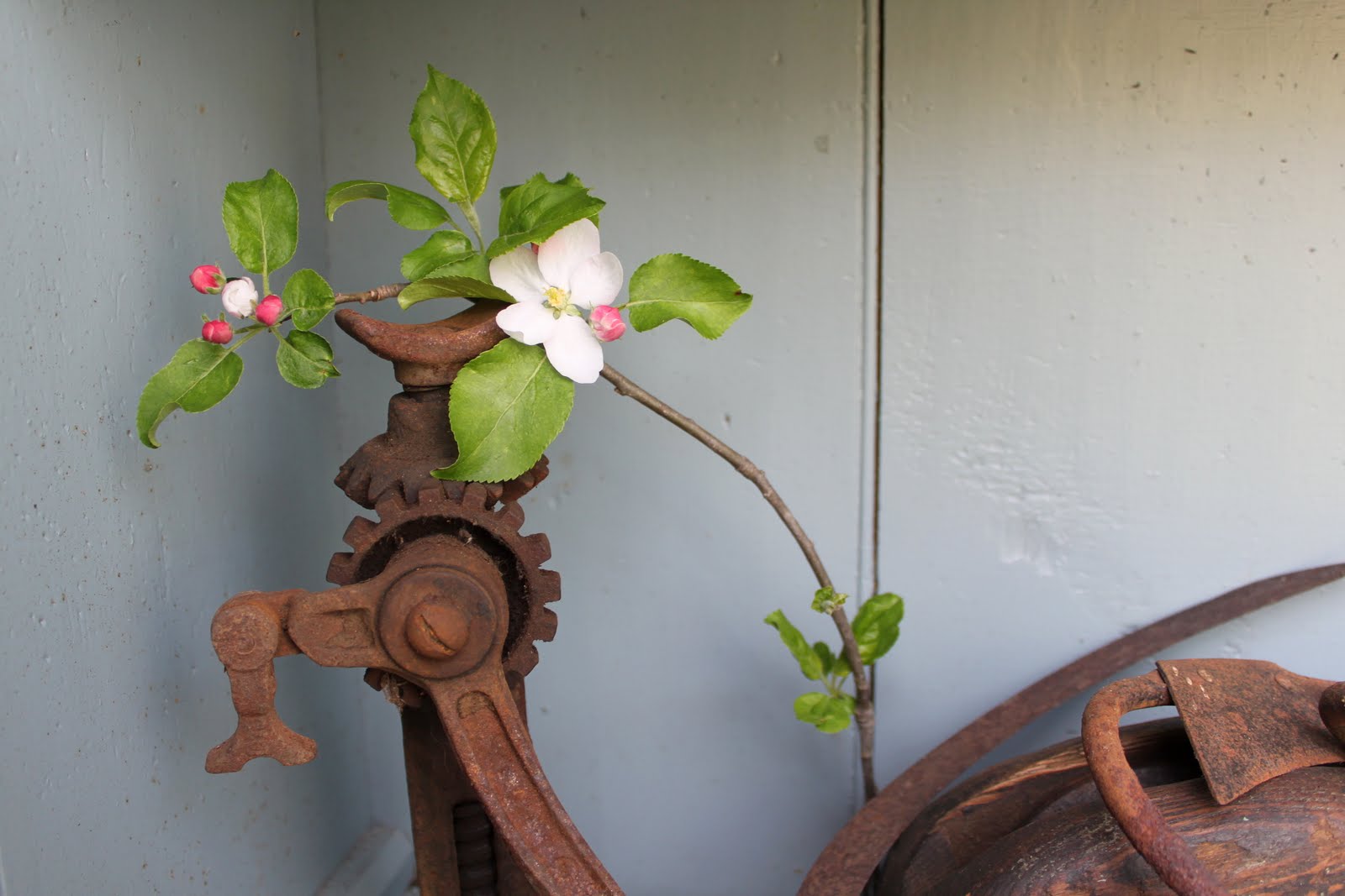 52 FLEA: Apple Blossoms and Rusty Farm Relics