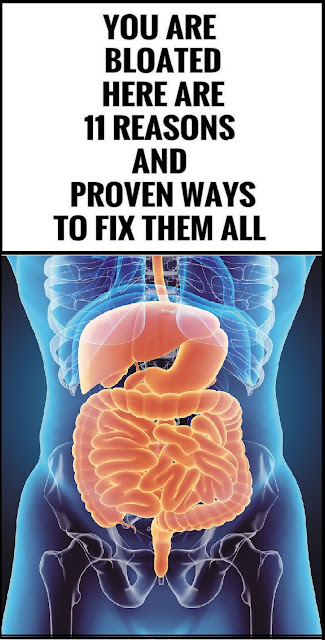 You Are Bloated 11 Ways To Fix Them All - Healthy Lifestyle