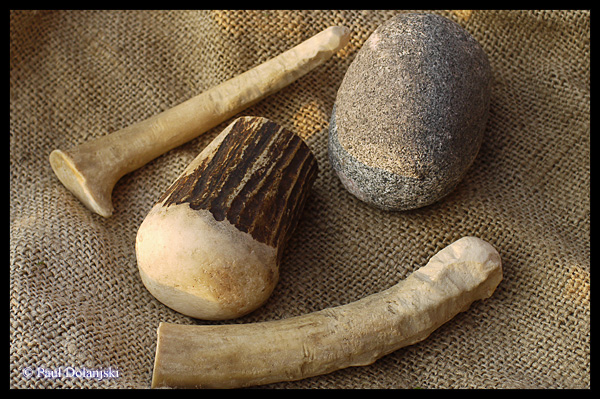 Arya Education: ADIMANAV IMAGE