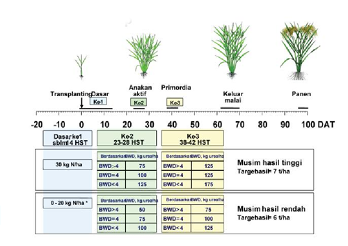 Pengertian Tanaman Padi - Tani Makmur Nusantara