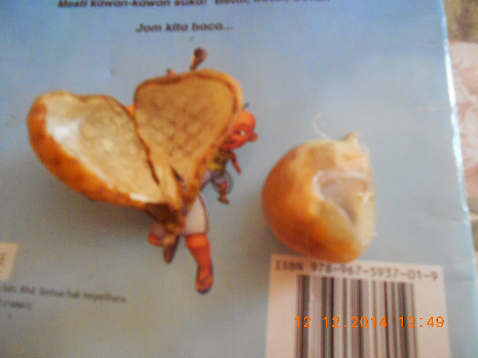 namakucella: BUAH KELUBI....JERUK KELUBI & JERUK CERMAI...!!!