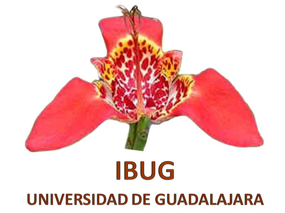 C O A X I C A N: CIE Soporte