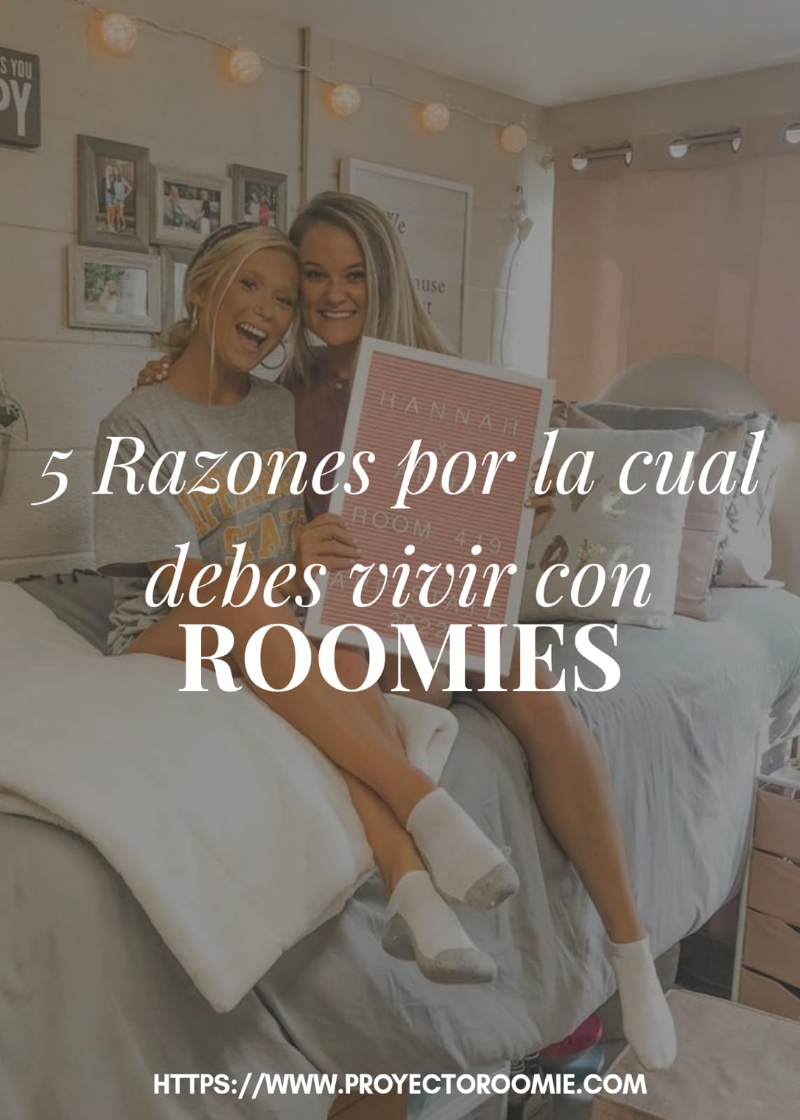 5 Razones por la cual debes vivir con Roomies