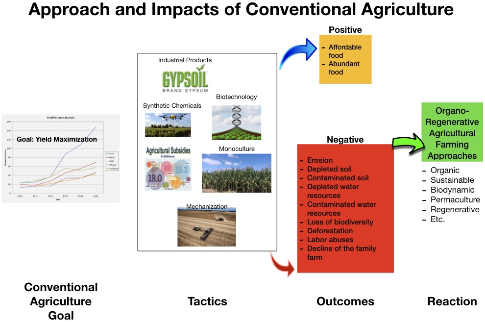 Wine -- Mise en abyme: From conventional to organo-regenerative ...