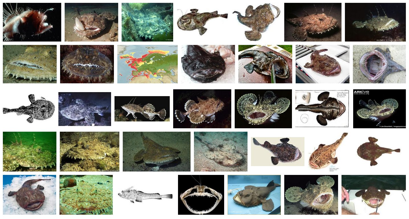 Un mot chaque jour: Baudroie : lote de mer