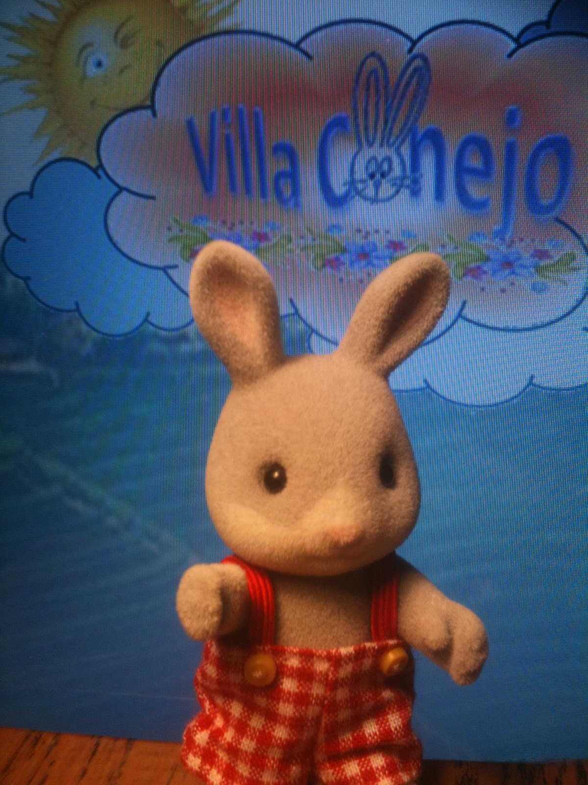 Ternurines "Villa Conejo": Censo en "Villa Conejo"