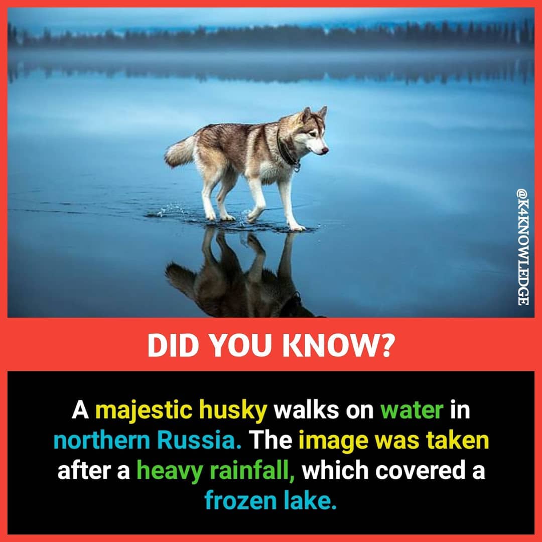 Do You Know Facts With Images, Best Amazing Facts