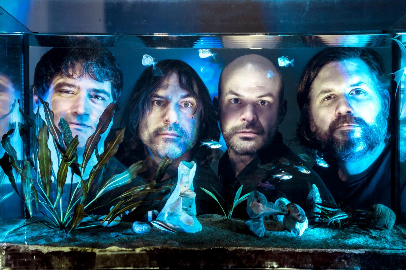 Stoner HiVe: Floating Widget – The Sounds of Earth