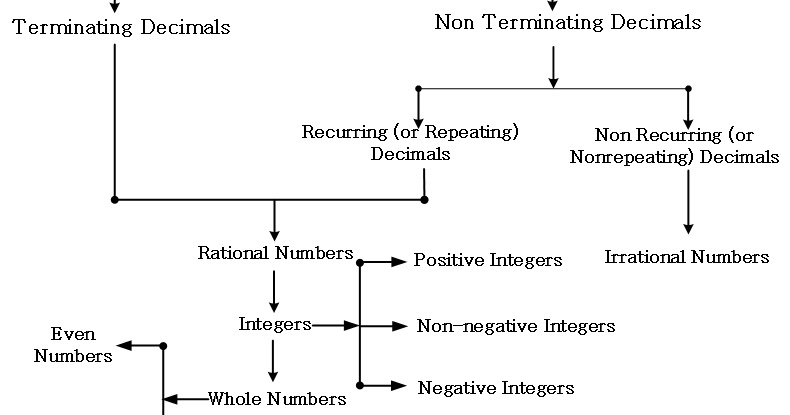 Various Type of Numbers Chart