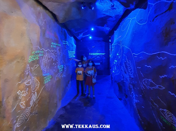 Entopia Penang Butterfly Farm Review | Tekkaus® | Malaysia Lifestyle ...