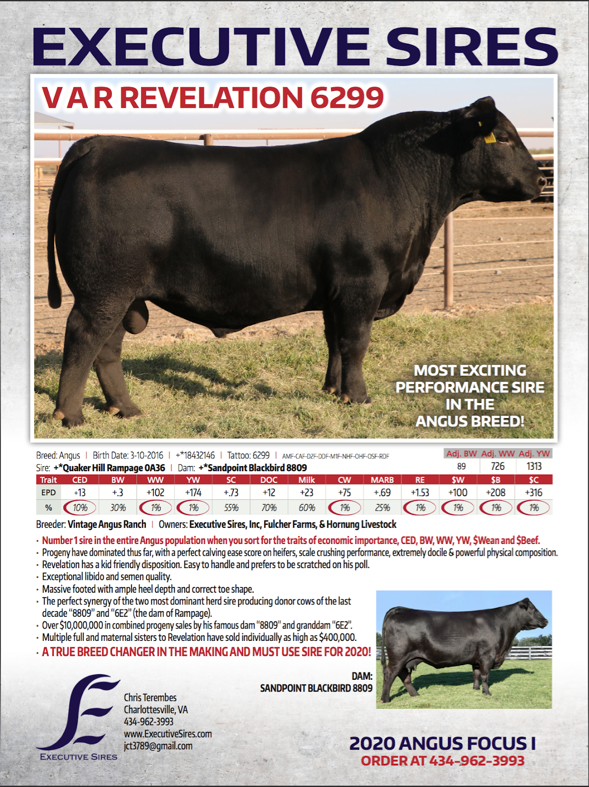 Executive Sires, Inc.: VAR Revelation 6299 - Continues to Dominate the ...