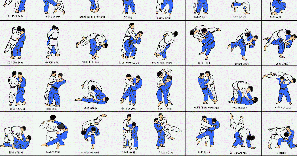 EL ARTE MARCIAL TE DA LA VIDA: Técnicas básicas de judo en pie