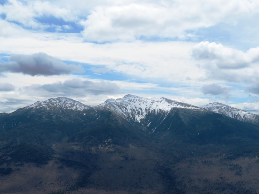 Outdoor Diversion: Local Hike to Mount Crescent