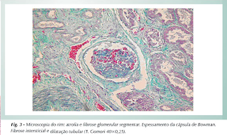 LAICI - Laboratório de Investigação de Câncer e Inflamação ...