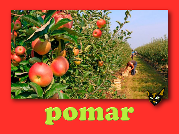 Zarampagalegando: Dicionario visual. Pomar