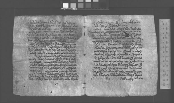 Khentiamentiu: 1,400-year-old medicinal treatise of Galen found hidden ...
