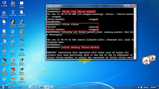 Remote Infrastructure Management: NetApp vFiler Tutorial