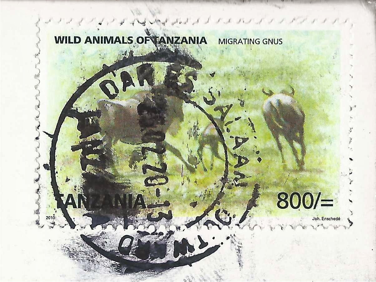 A Journey of Postcards: A Village Meeting of Masai Women, Tanzania