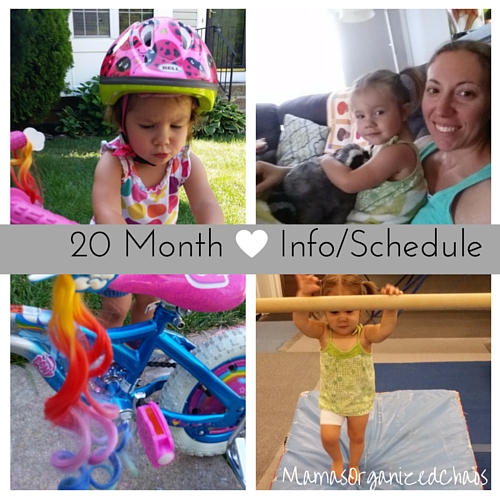 20 MONTHS - Mama's Organized Chaos