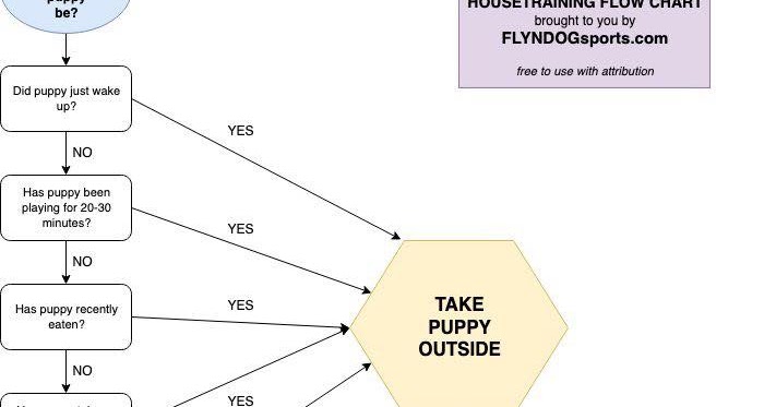 2020: The Believe Litter: Puppy 101: Housetraining Flow Chart