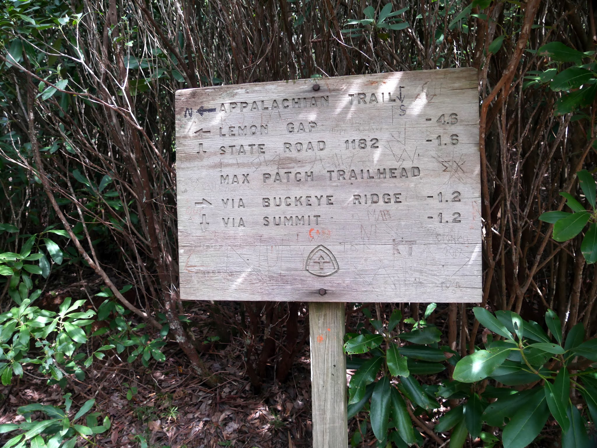 American Travel Journal: Max Patch Summit to Lemon Gap - Appalachian Trail