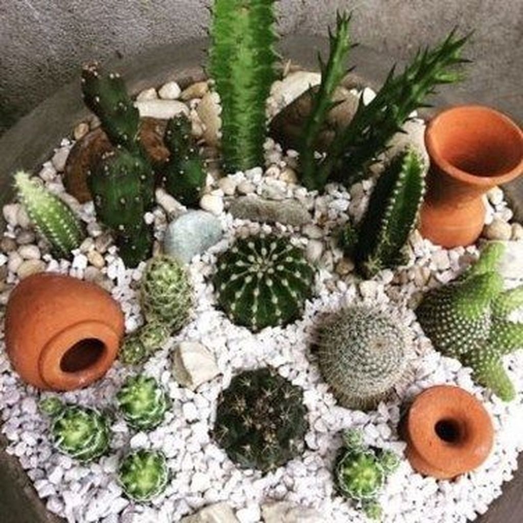 48 Cute Small Cactus Ideas To Maximize Your Interior Design | ARA HOME