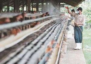 pengertian Desinfektan dan Desinfeksi - Elinotes review