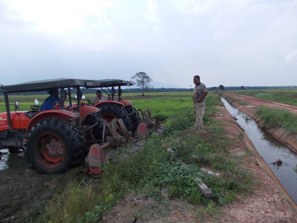 KAMPUNG SAWAH RING: KOBERA
