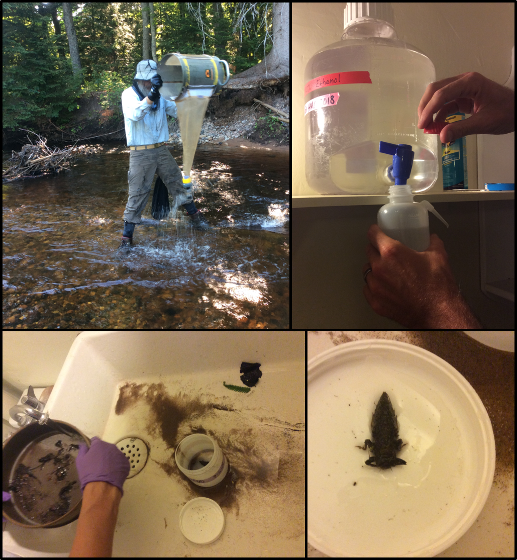 Stream Bottom Sampler