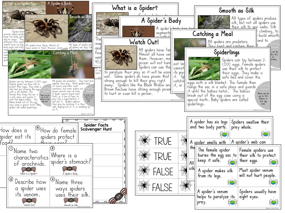 Cue the spiders! - Second Grade Stories