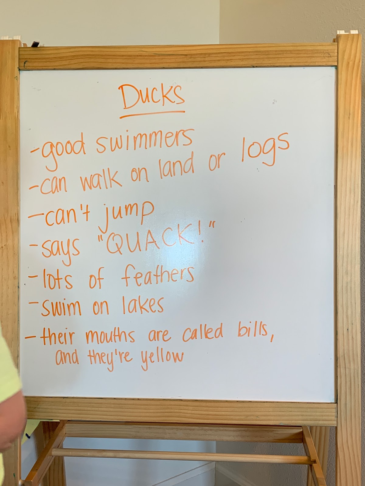 Sonshine and Shade: Ducks and a Visit to the Lake