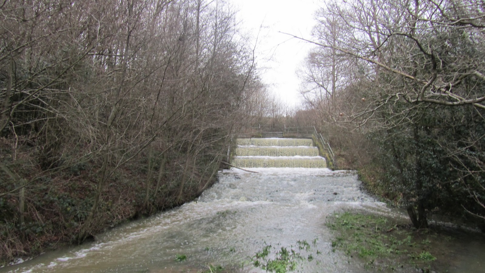 Heelwalker1: Bewl Water & Rupert Bear