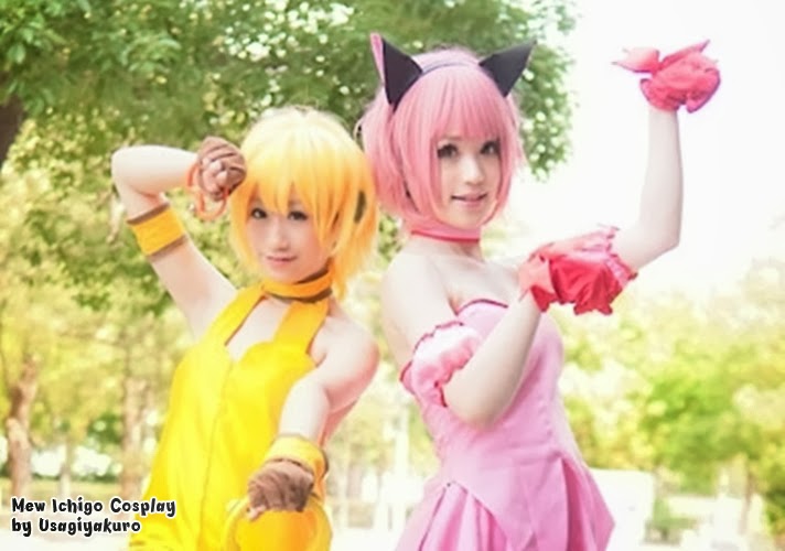 Celebrities: Mew Ichigo Cosplay : Tokyo Mew mew