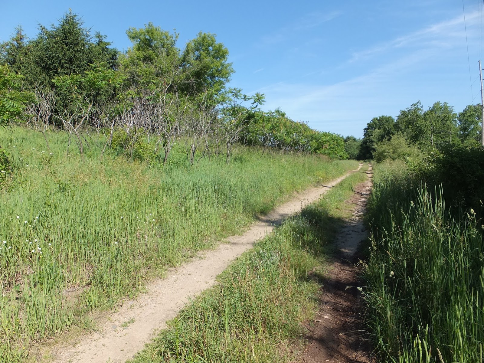 Plants Amaze Me: Jeptha Lake Fen, Paw Paw Prairie Fen