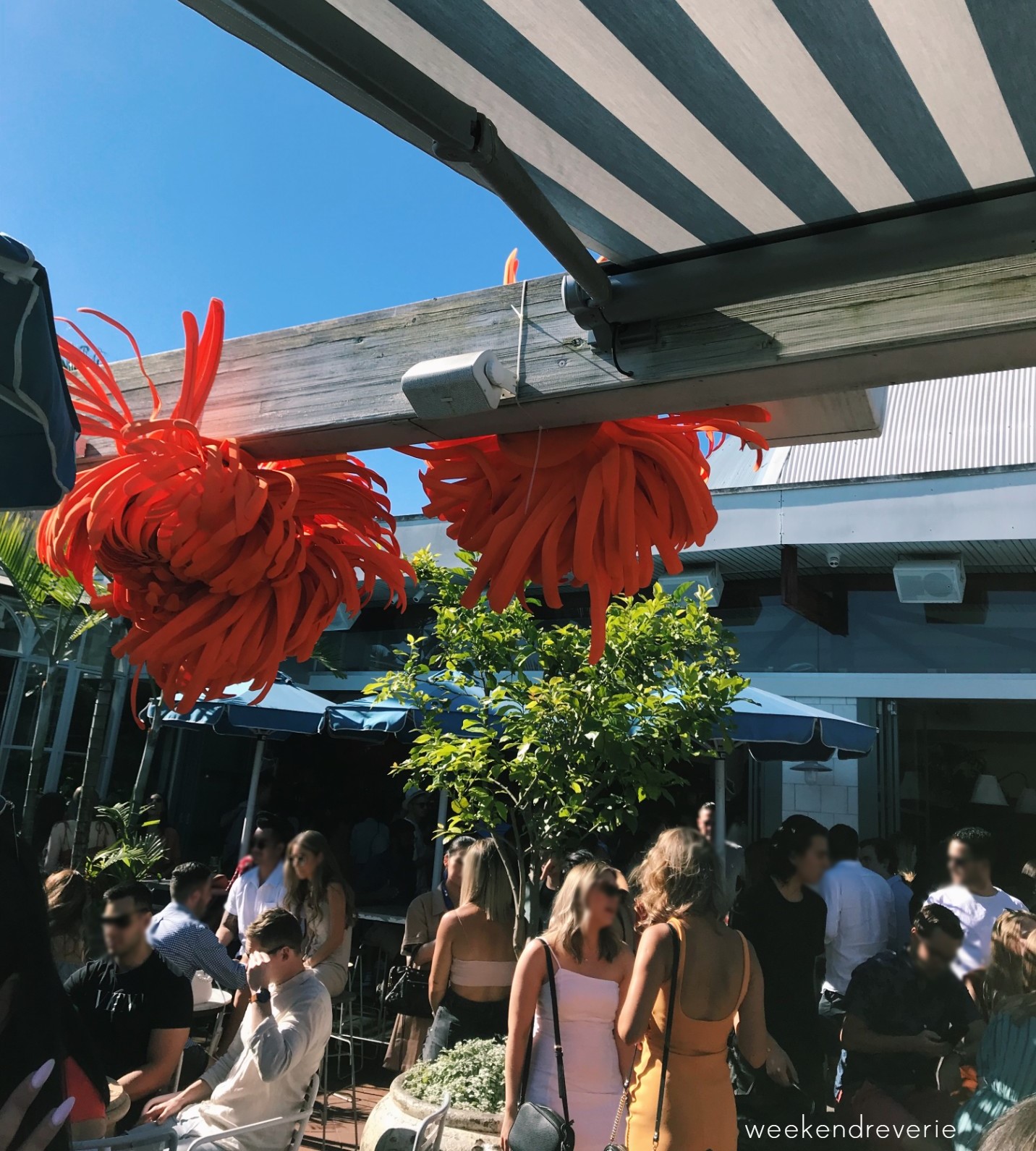 Coogee Pavilion Rooftop: The Perfect Spot for a Sunday Sesh | Weekend ...