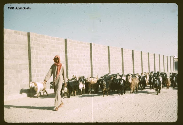 Everyday Life of Kuwait in the Early 1960s Through Amazing Color Photos ...