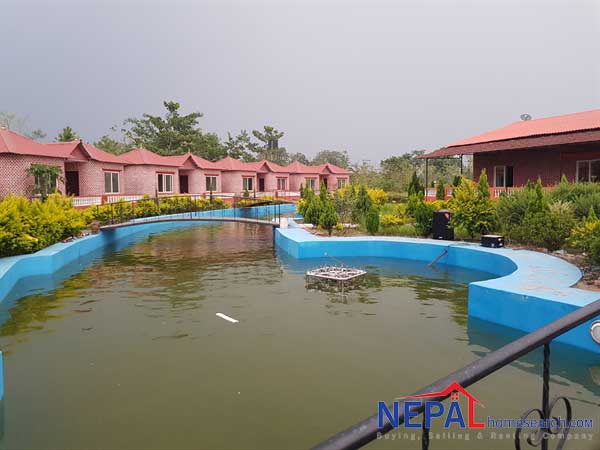 A Garden Resort is on sale at Kawasoti, Nawalparasi