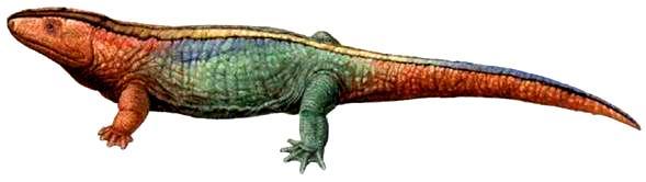 Blog de la Vida Prehistórica: Pederpes