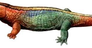 Blog de la Vida Prehistórica: Pederpes