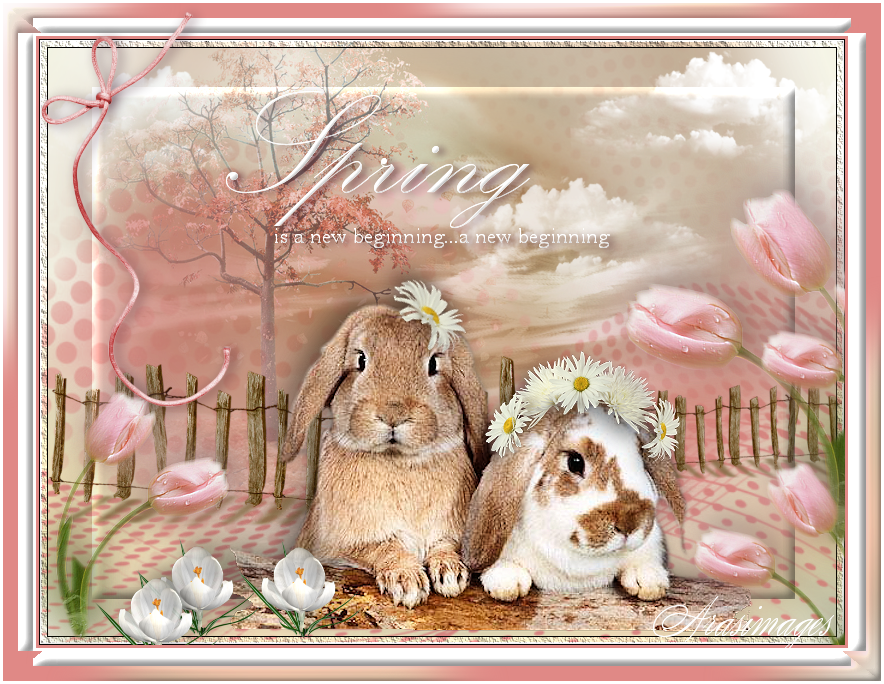 Tutoriais e materiais para PSP: Abril 2017