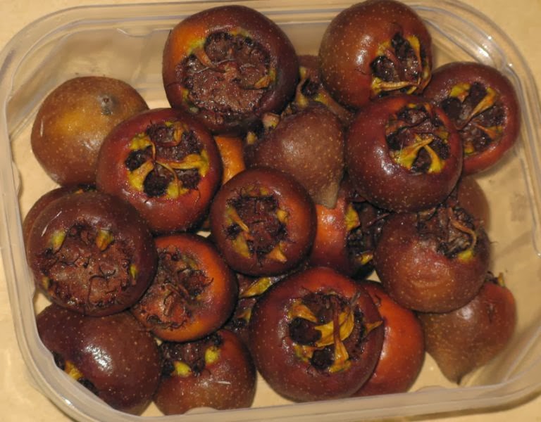 Carla Nayland Historical Fiction: December recipe: Medlar jelly