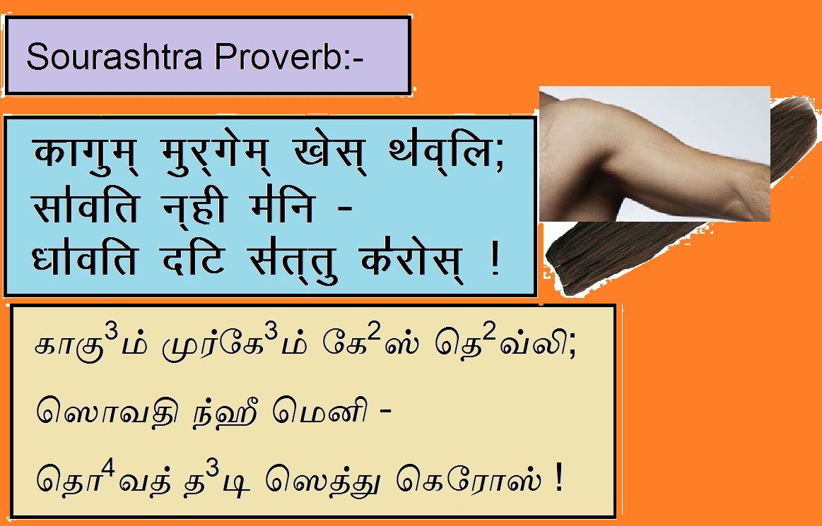 Sourashtra Lipi Script Alphabets