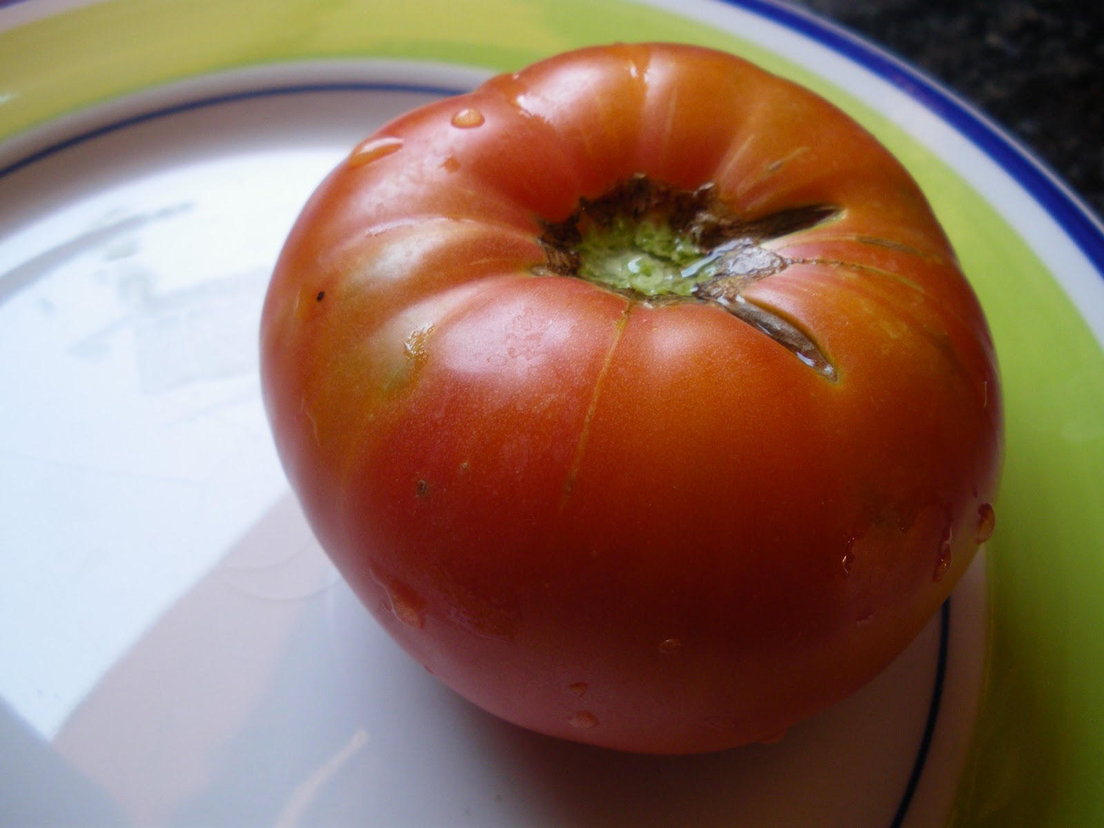 Huerto: Tomates 2012