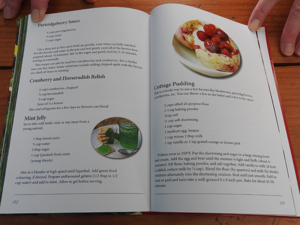 Newfoundland Tourist Information: Edible Plants of Newfoundland and ...