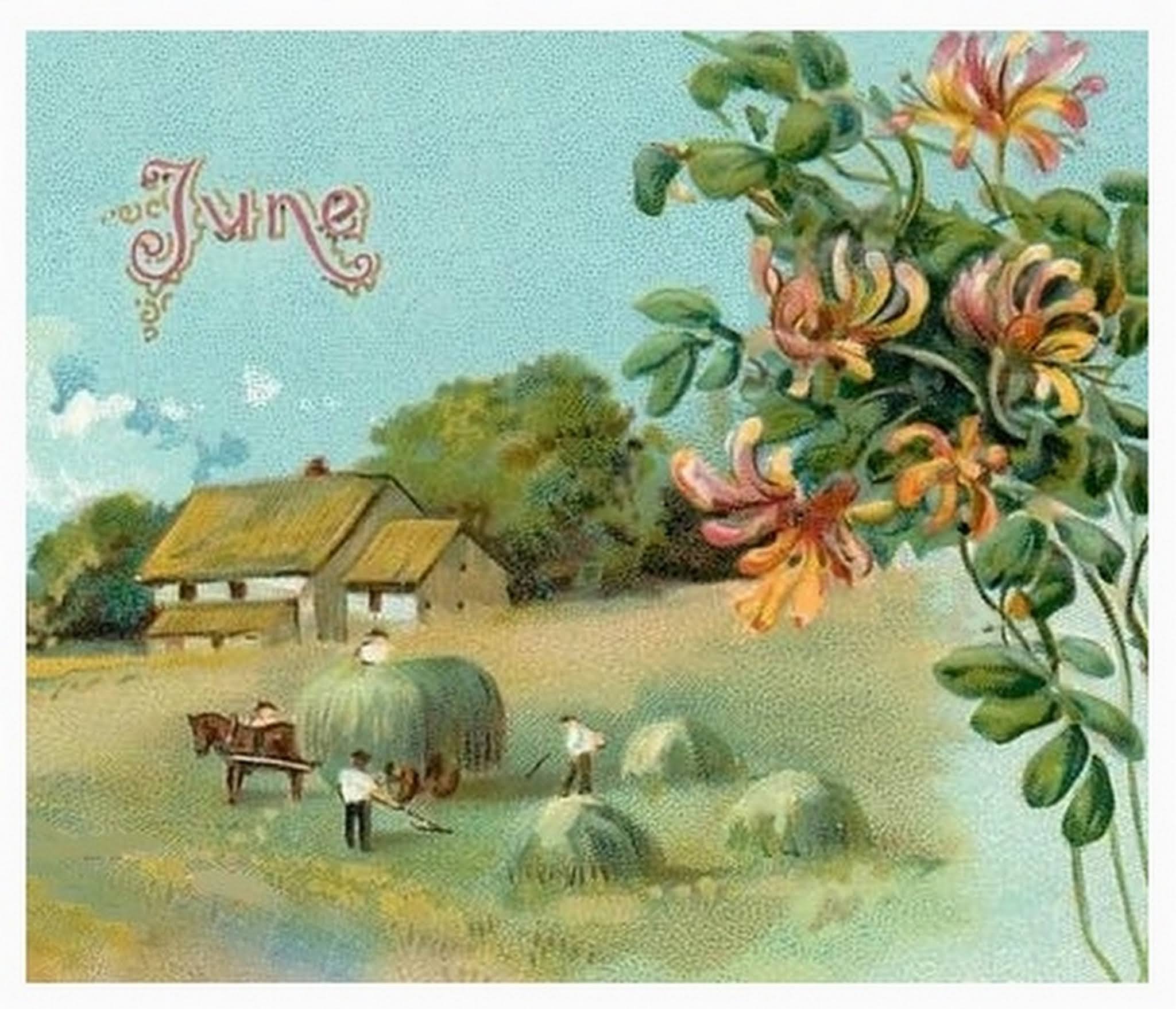 bumble button: June Birthstone and Flowers ~ Free Digital Antique ...